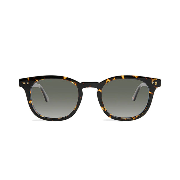 Chester Sunglasses– Topdrawer
