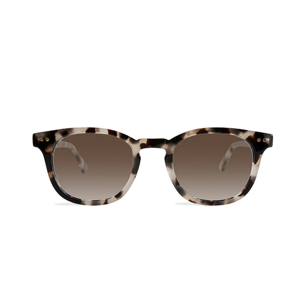 Chester Sunglasses– Topdrawer