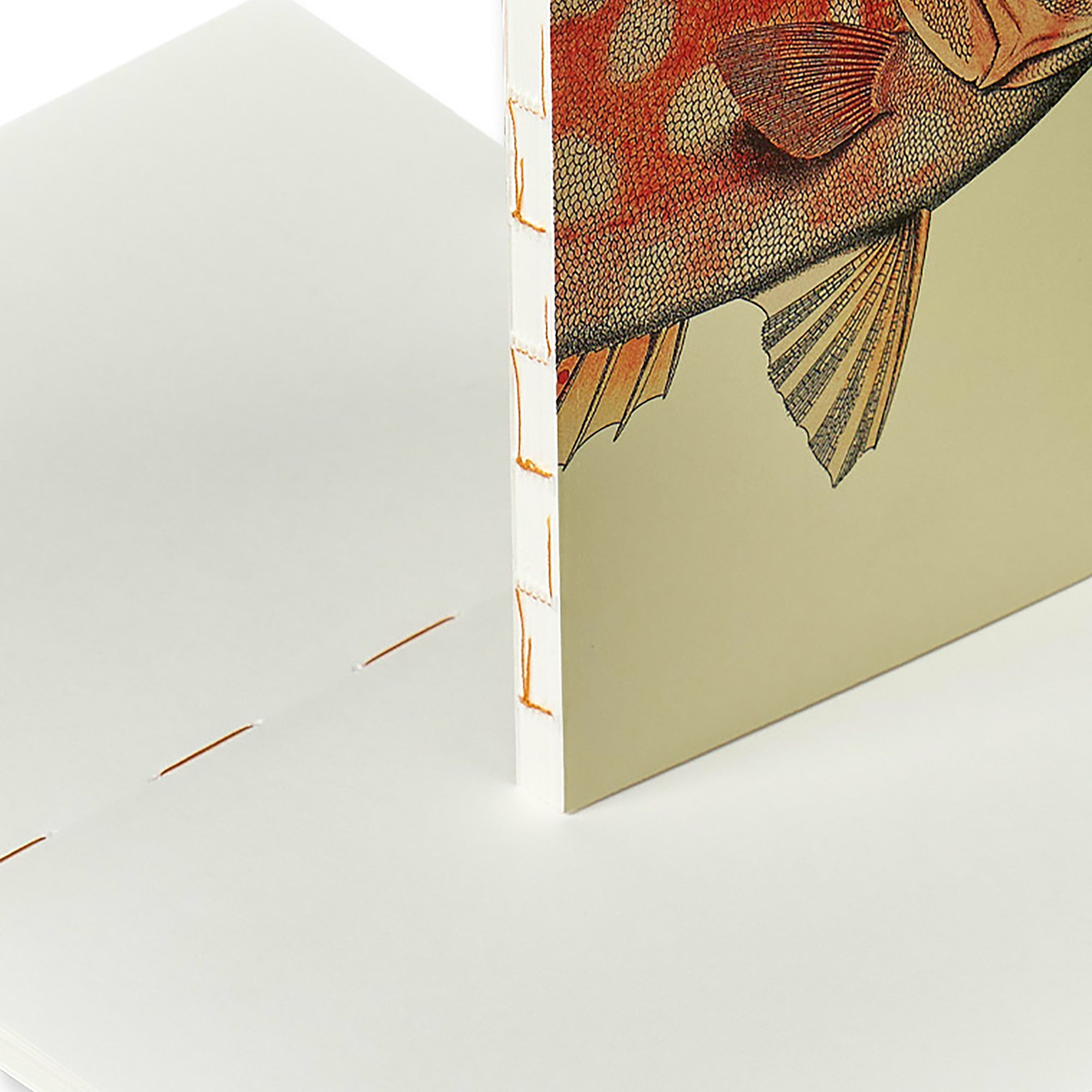 Illustrated Book Series Refills XL – Topdrawer